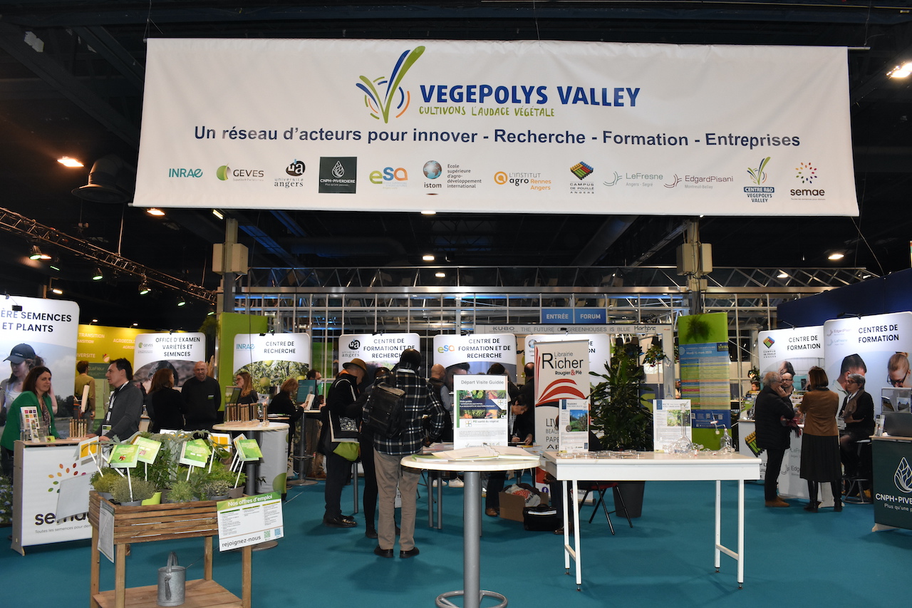 Sival 2022, Angers, France